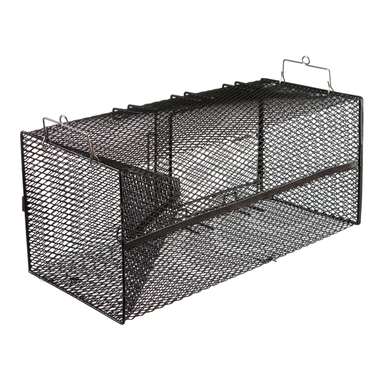 Frabill Black Rectangular Minnow Trap at Glen's
