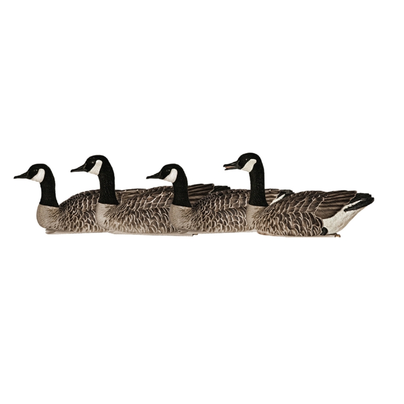 Avian-X Topflight Honkers Canada Goose 4 Pack at Glen's