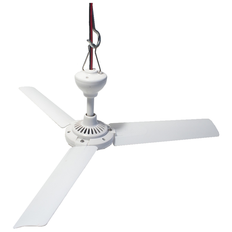 Catch Cover 12 Volt Fish House Ceiling Fan at Glen's