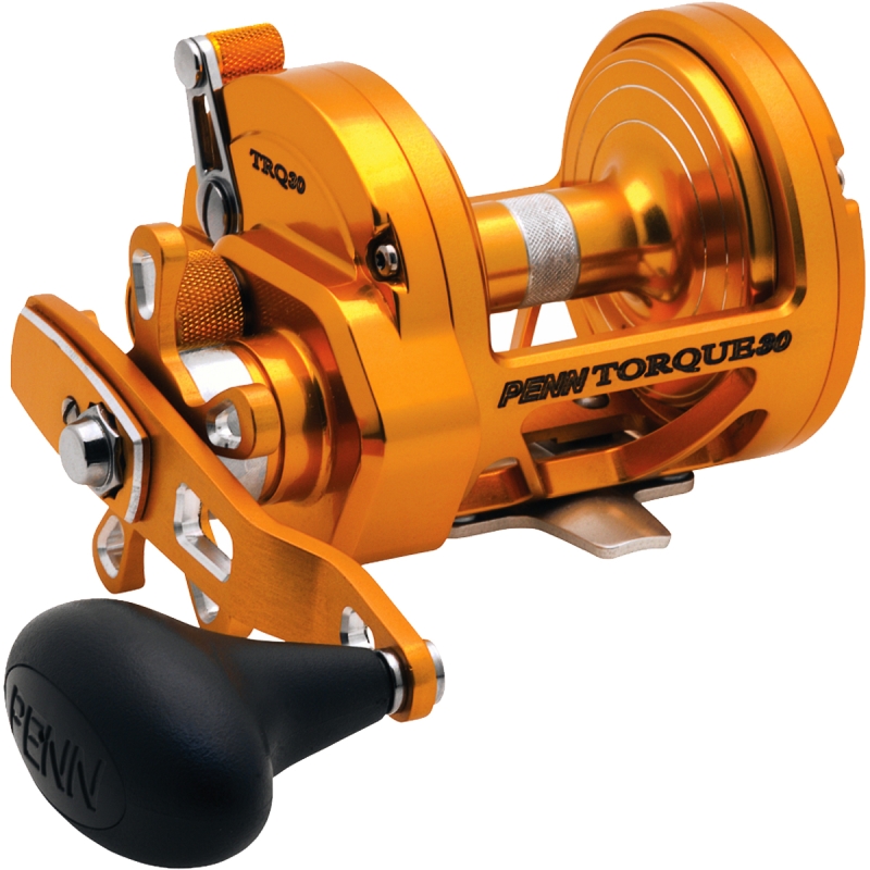 Penn Torque Star Drag - 25N at Glen's